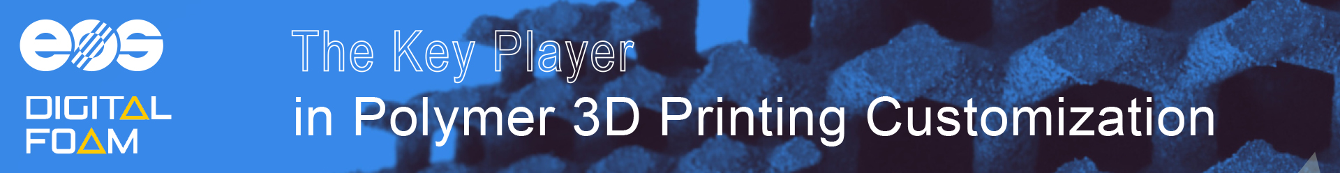 EOS ウェビナー：樹脂3Dプリンター向けプログラム、DIGITAL FOAM®のご紹介 | 株式会社NTTデータ ザムテクノロジーズ